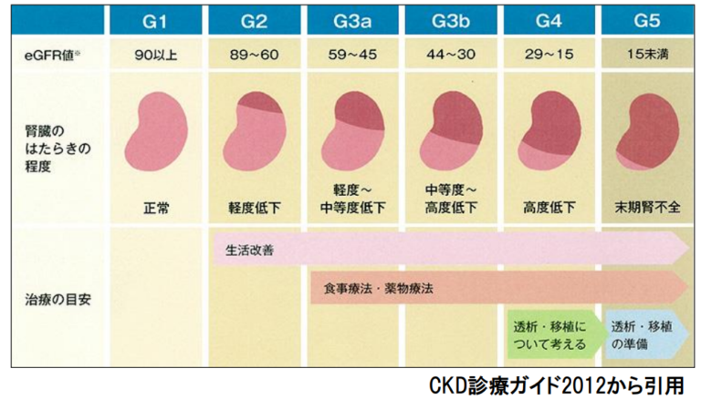 ⑧血清クレアチニンと慢性腎臓病（CKD）の関係（栄養素制限でも『総カロリー量確保』が必要）